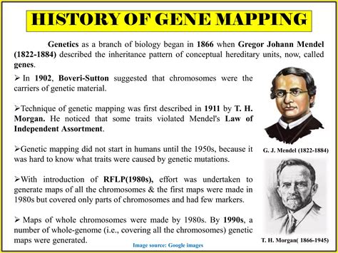 Gene Mapping Methods Linkage Maps Mapping With Molecular Markers Pdf