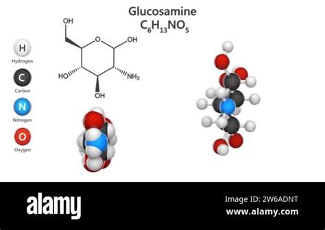 Glucosamine C6h13no5 Is An Amino Sugar Treatment For Osteoarthritis Chemical Structure Model