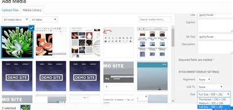 How To Add Animated S In Wordpress