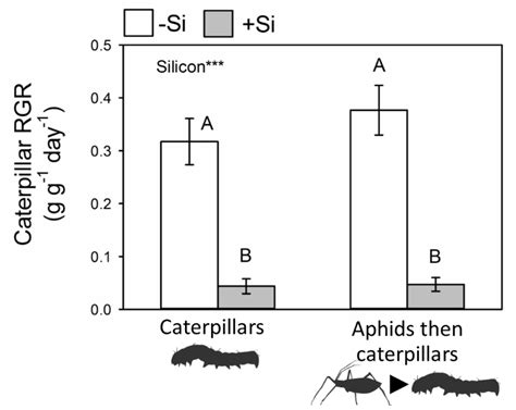 The Effects Of Si And Previous Aphid Herbivory On Relative Growth Rates