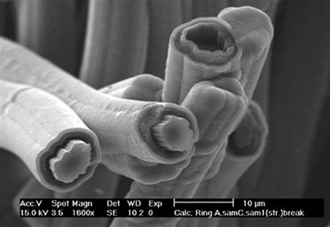 Cvd Cva Cvi Coating Millenia Technologies