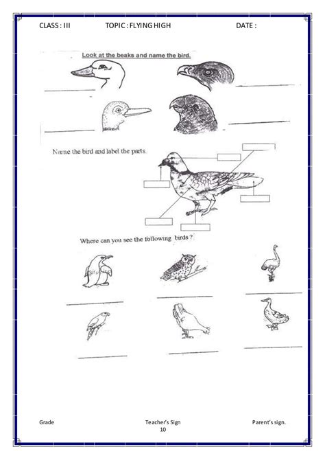 Class Iii Evs Worksheets