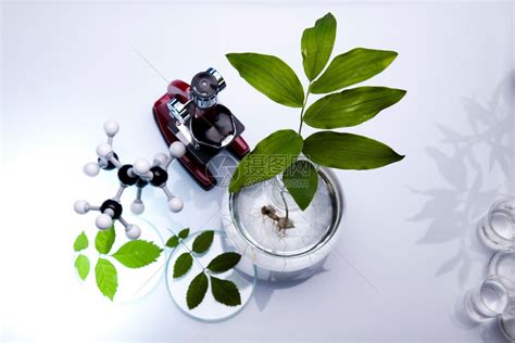 实验室玻璃软件生物有机现代概念高清图片下载 正版图片303397386 摄图网