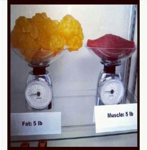 Pin Auf Health And Fitness