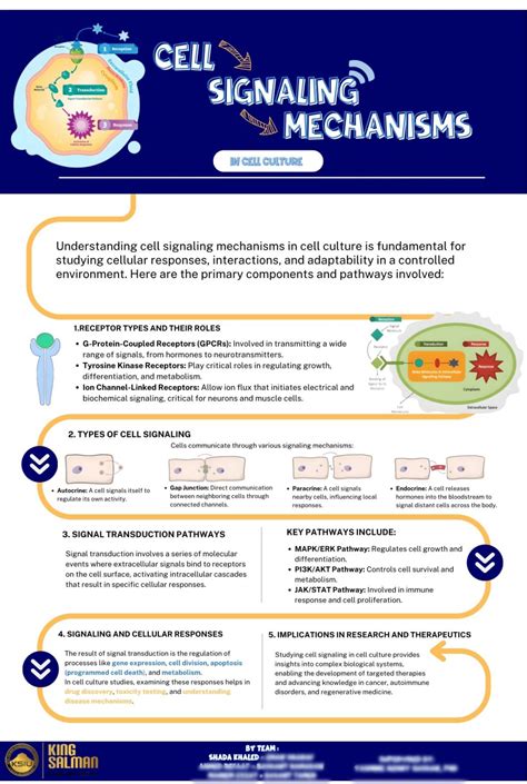 Cellsignaling Scientificposter Biotechnology Research Cellculture