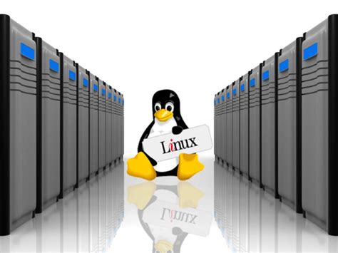 Discussion Why Linux Servers Are More Popular Than Windows Servers Tuan Nguyen S Blog