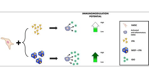 Delivery of Immobilized IFN γ With PCN 333 and Its Effect on Human