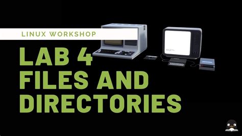 Lab 4 Working With Files And Directories Youtube