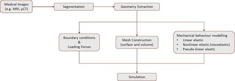 Frontiers A Review Of Bioengineering Techniques Applied To Breast