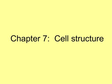 Chapter Cell Structure