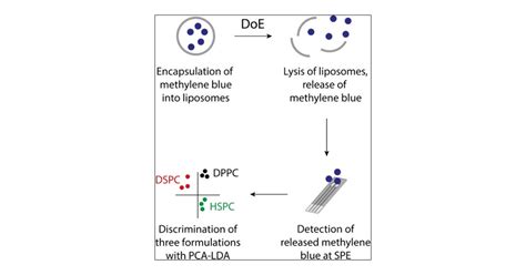 An Electrochemical Strip To Evaluate And To Discriminate Drug Encapsulation In Lipid Nanovectors