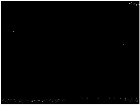 Preparation Method Of Polydopaminetitanium Dioxide Composite Film With Controllable Surface