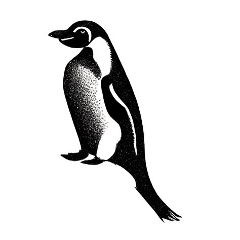 Pencil Sketch Of A Penguin Looking · Creative Fabrica