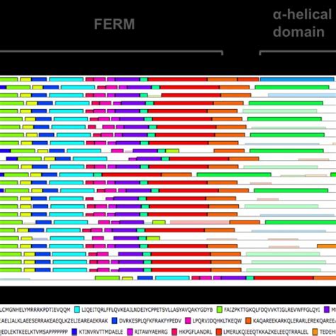 Meme Conserved Amino Acid Motif Analysis Motifs In Pale Color Were Download Scientific Diagram