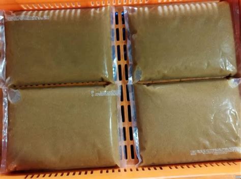 Natural Frozen Chikoo Pulp Packaging Size 1 Kg Speciality Organic At Rs 120 Kg In Pune