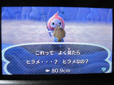 個別「とびだせ どうぶつの森」の写真、画像 ゲーム Kiriu Nagis Fotolife
