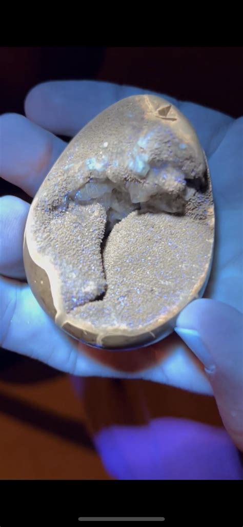 Fossil Spots In Cyprus R Fossils