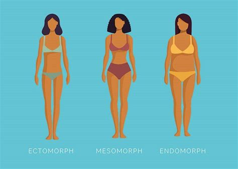 What Is The Mesomorph Diet Food List Sample Menu Benefits More
