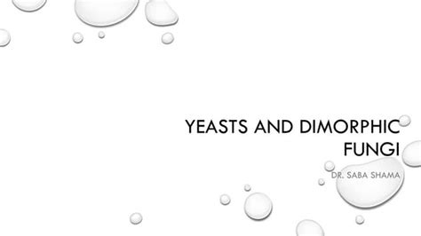 Yeasts And Dimorphic Fungi Powerpoint Ppt Ppt