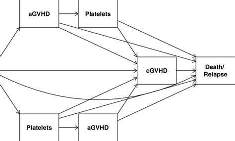 Multistate Network For Bone Marrow Transplant Data In The Analysis Of