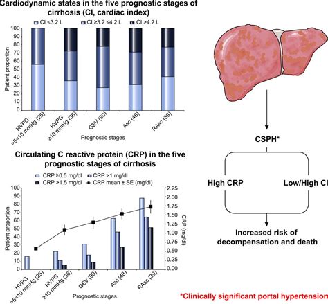 Compensated Cirrhosis