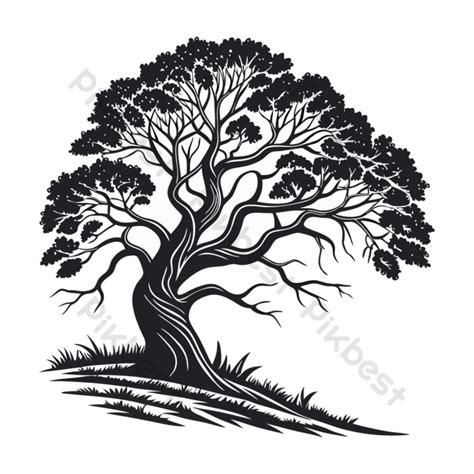 Tree Silhouette Png Roots Download Tree With Deep Roots Silhouette