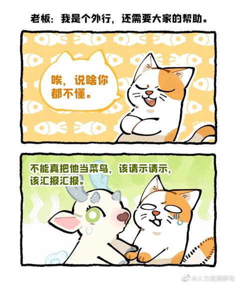 职场上老板的潜台词，你能听懂几个？财经头条