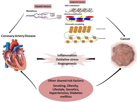 Impact Of Genetic And Epigenetic Factors Along With Other Risk Factors