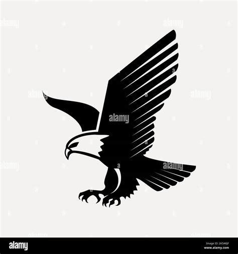 Eagle Drawing Black And White Illustration Vector Stock Vector Image