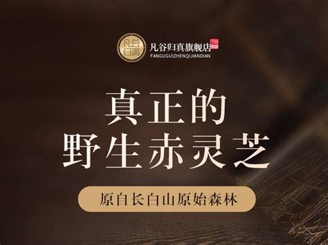 灵芝详情页 哪吒小妖精 站酷ZCOOL