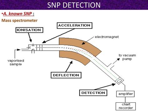 Ppt Snp Detection Pptx