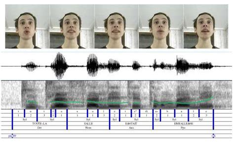 Illustration Of Praat Usage For Phonetic Annotation Of A Phrase Uttered Download Scientific