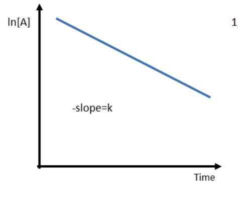 P Chem Kinetics Exam Flashcards Quizlet