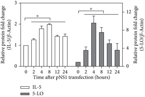 Rsv Ns1 Protein Promoted Inflammatory Factor Production And Increased