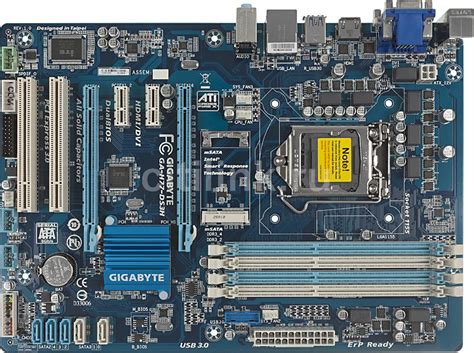 Материнская плата GIGABYTE GA-H77-DS3H (rev. 1.0) - купить в Ситилинк ...