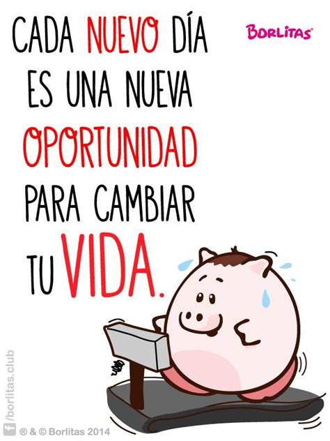 Frases De Amor Una Cada Dia Frases Motivacionales