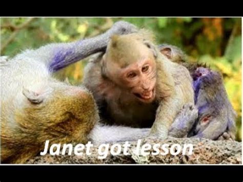 Supper Pinch Jane Jane Pinch Hit Janet Cry Cry While Separate Janna From To Get Steal Milk
