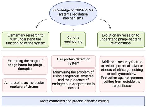 Frontiers Mechanisms Regulating The CRISPR Cas Systems