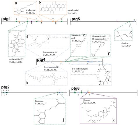 Unveiling The Genomic Features And Biocontrol Potential Of Trichoderma