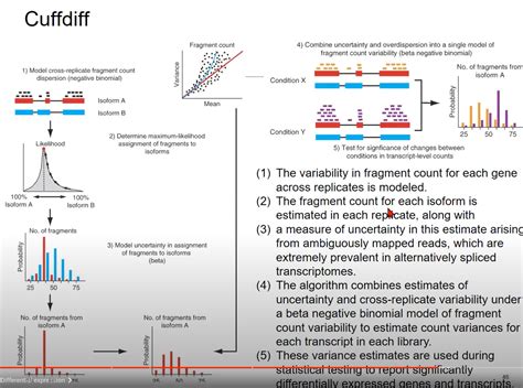 【rna Structures】rna Seq 分析 Rna转录的重构和前沿测序技术 转录组测序和分析原理 Csdn博客