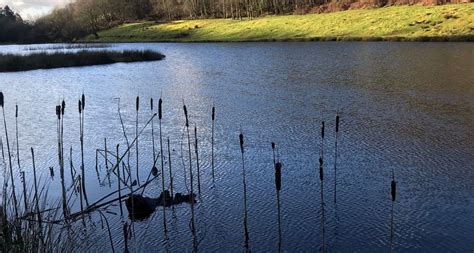 A Nudge In A Better Direction Sue Heatherington