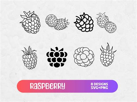Raspberry Svg Svg Files For Cricut Raspberry Png Svg Bundle Food