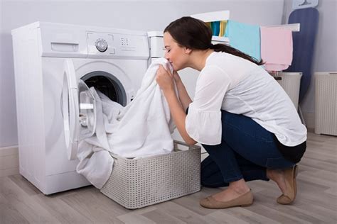 Arriba 87 Imagen Como Funciona Una Secadora De Ropa De Gas Abzlocal Mx