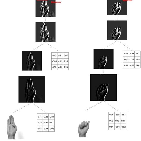 a visualisation of a top performing individual on the hands dataset