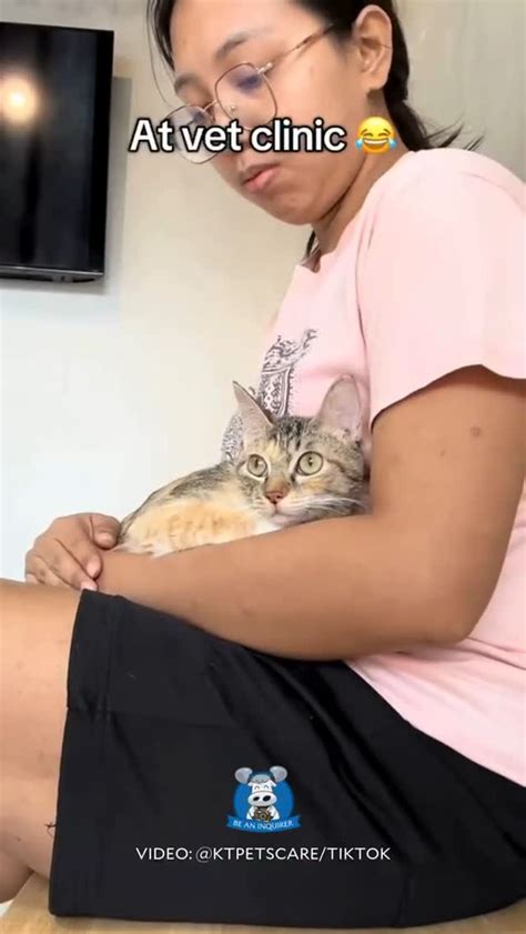 Be An Inquirer ‘seize The Moment 🍦🤗 Watch A Fur Mom From Bocaue