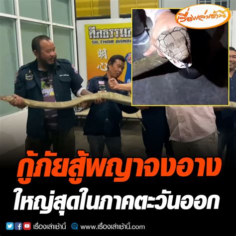 กู้ภัยสู้พญาจงอาง ใหญ่สุดในภาคตะวันออก สุดระทึก ชาวบ้านผวาแจ้งกู้ภัย