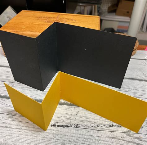 Squee Squee Double Z