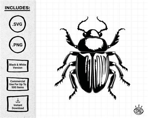Buy Bug Svg Bug Png Beetle Svg Bug Clipart Insect Svg Online In India