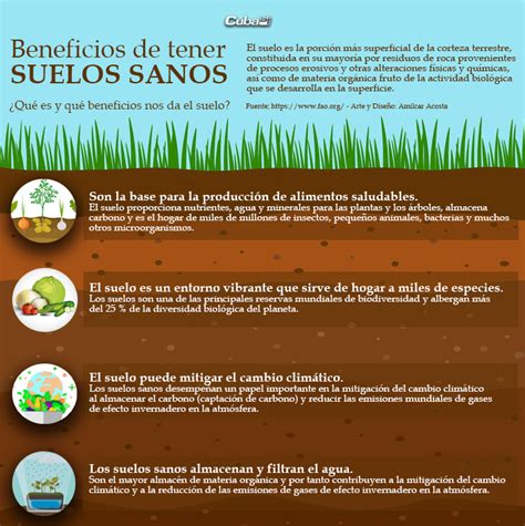 ¿por Qué Es Importante La Conservación De Los Suelos Info