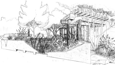 Vignette Sketch Of Garden At Private Residence In Creve Coeur